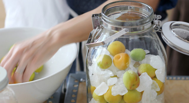 Cellarmateで作る梅シロップ - CDC GENERAL STORE(シーディーシー ジェネラルストア) | キナリノモール