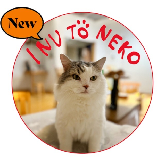 【犬と猫、はじまります】ーVol.01 でっか猫ぽすけ、もふもふ日記ー - Crouka(クローカ) | キナリノモール