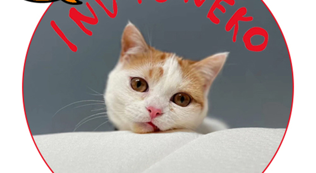 【犬と猫】ーVol.01 甘えんぼとろろ、かまってちゃんねるー - Crouka(クローカ) | キナリノモール