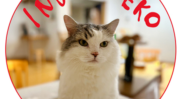 【犬と猫】ーVol.02 でっか猫ぽすけ、もふもふ日記ー - Crouka(クローカ) | キナリノモール