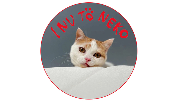 【犬と猫】ーVol.03 甘えんぼとろろ、かまってちゃんねるー - Crouka(クローカ) | キナリノモール