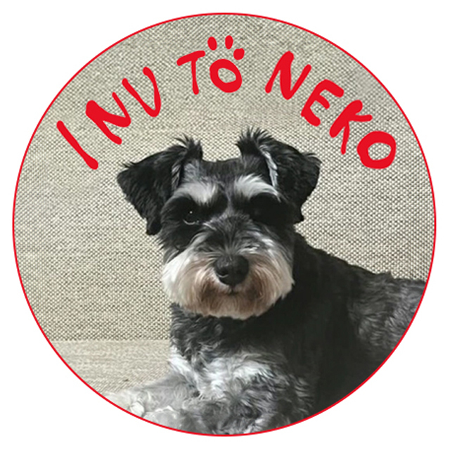 【犬と猫】ーVol.04 おてんばたんの、たんたん日和ー - Crouka(クローカ) | キナリノモール