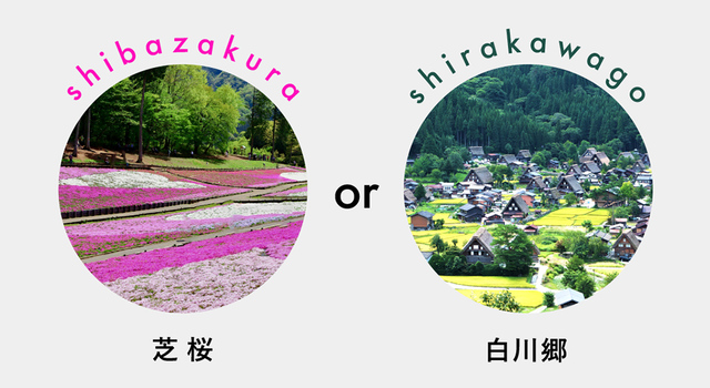 【marble SUD】週末のお出かけはどちらを選ぶ？ - marble SUD(マーブルシュッド) | キナリノモール